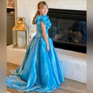 Costumes | Custom Cinderella Gown Costume With 3d Butterfly Details On ...